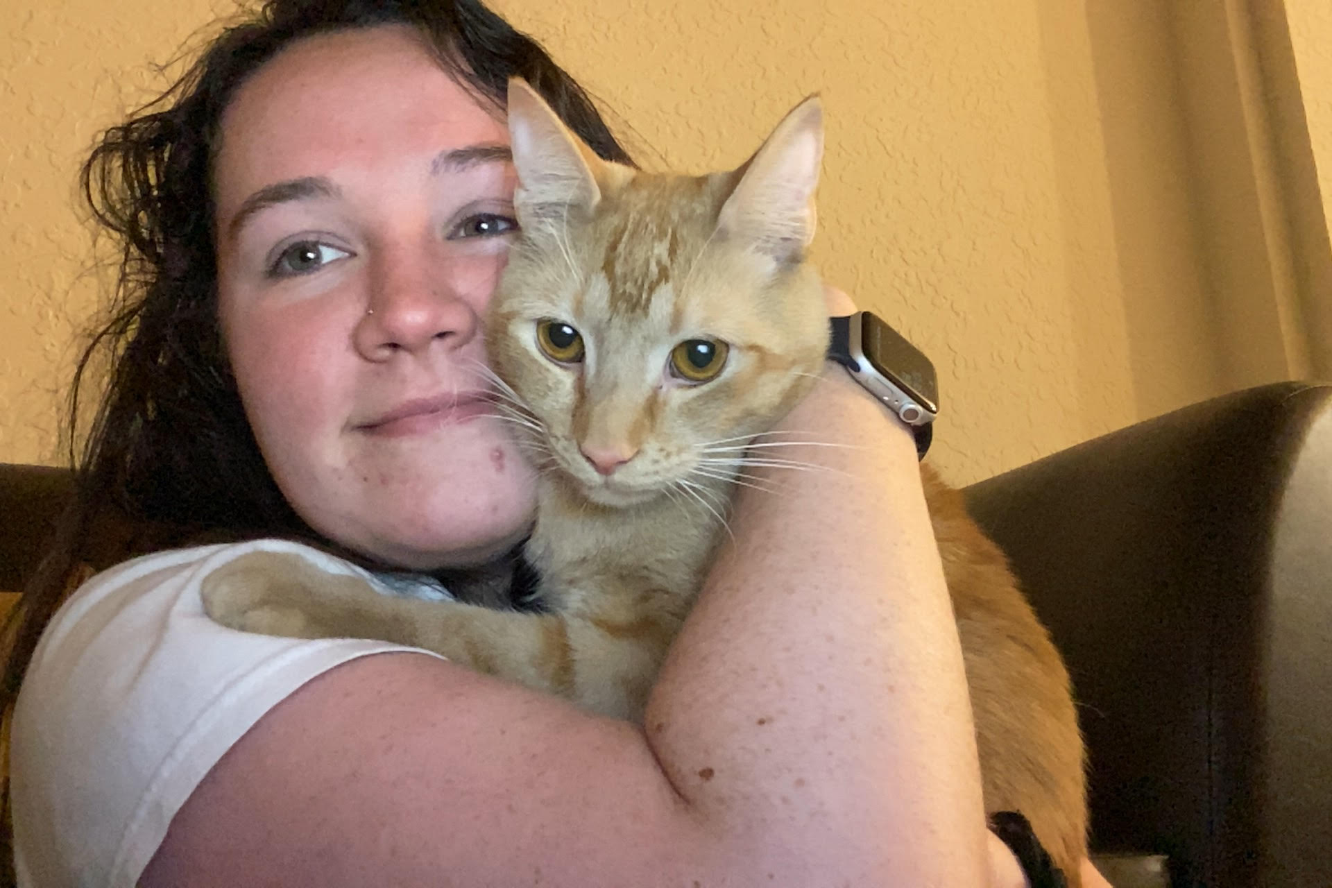 Professional Dog Trainers | The Dog Training Team at Courteous Canine